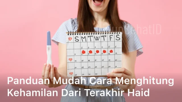 Panduan Mudah Cara Menghitung Kehamilan Dari Terakhir Haid